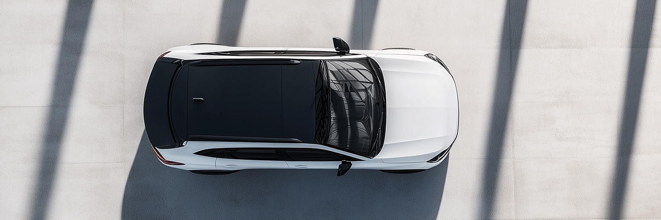 LUNA CARS — VisionLabs Video Analytics System for Vehicle Recognition